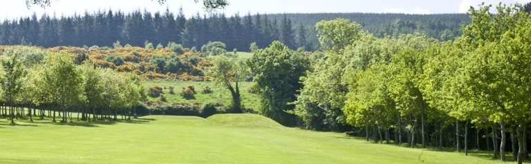 Golf at St. Columba's College - Kilmashogue Golf Club